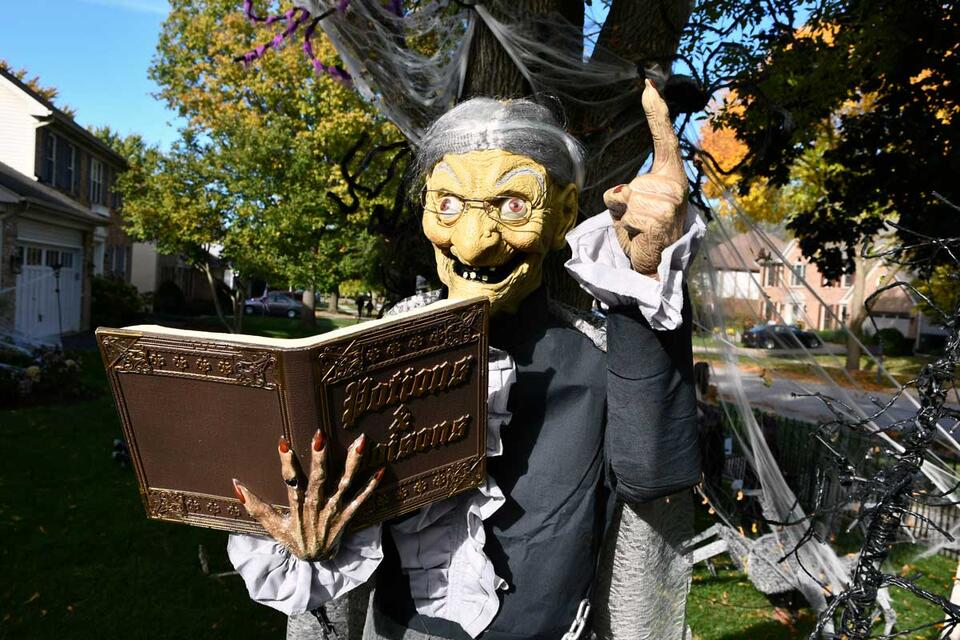 Things To Do in Naperville This Weekend: October 31 – November 2, 2025 ...