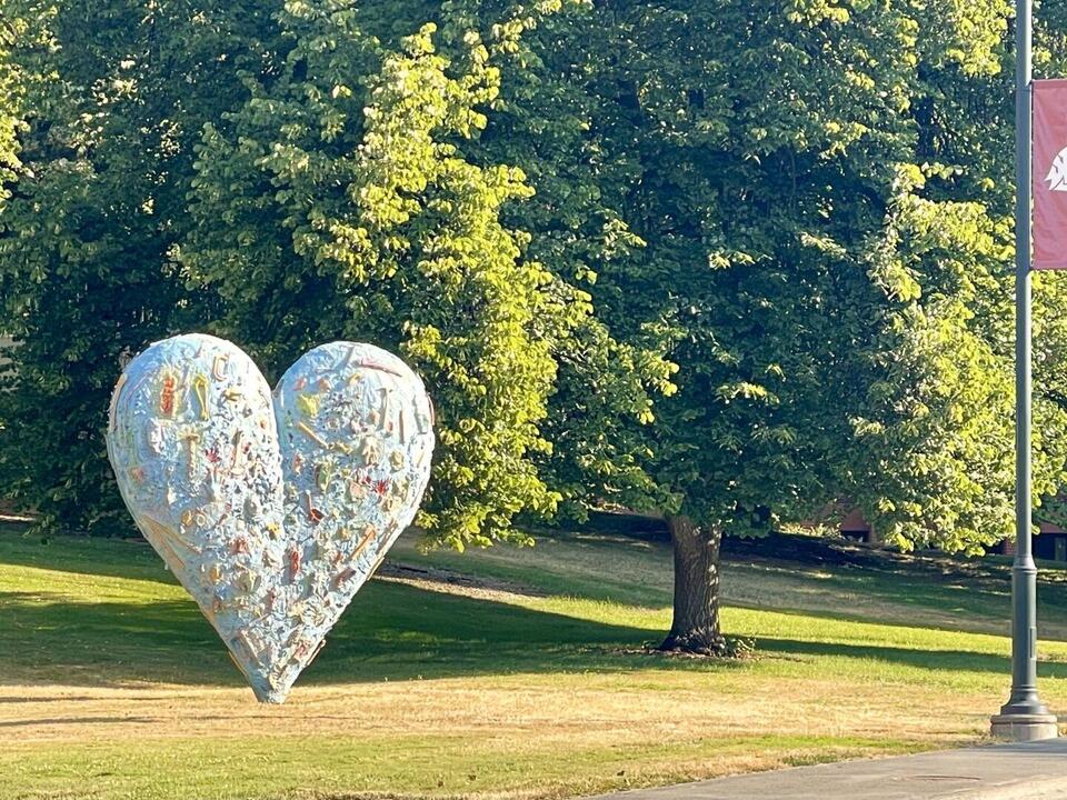 Whooping Cough Outbreak at WSU Grows