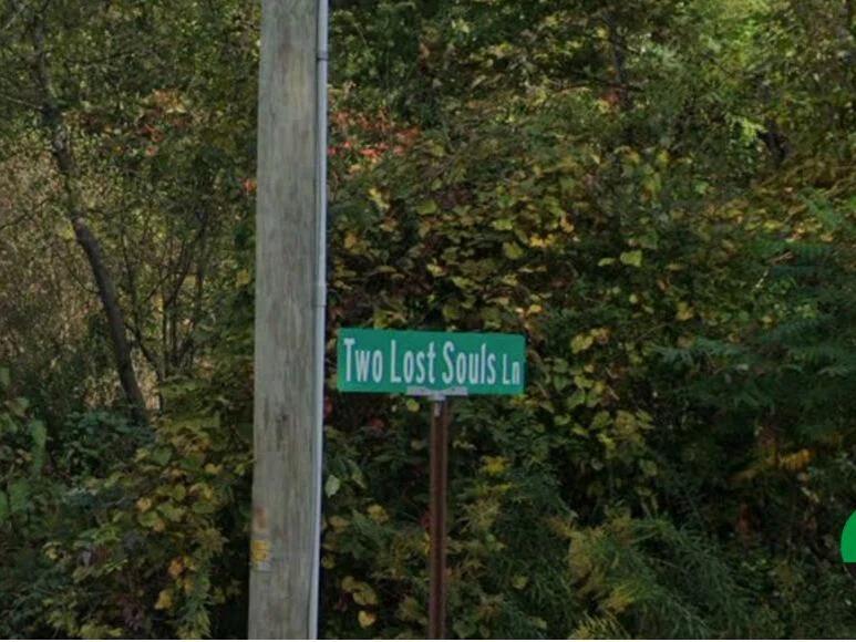 Police looking for thief who stole sign