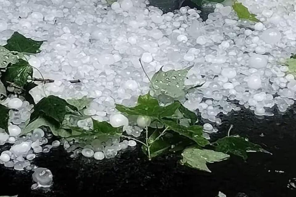 Hail and storm damage in Southern Kentucky May 8, 2024 - NewsBreak