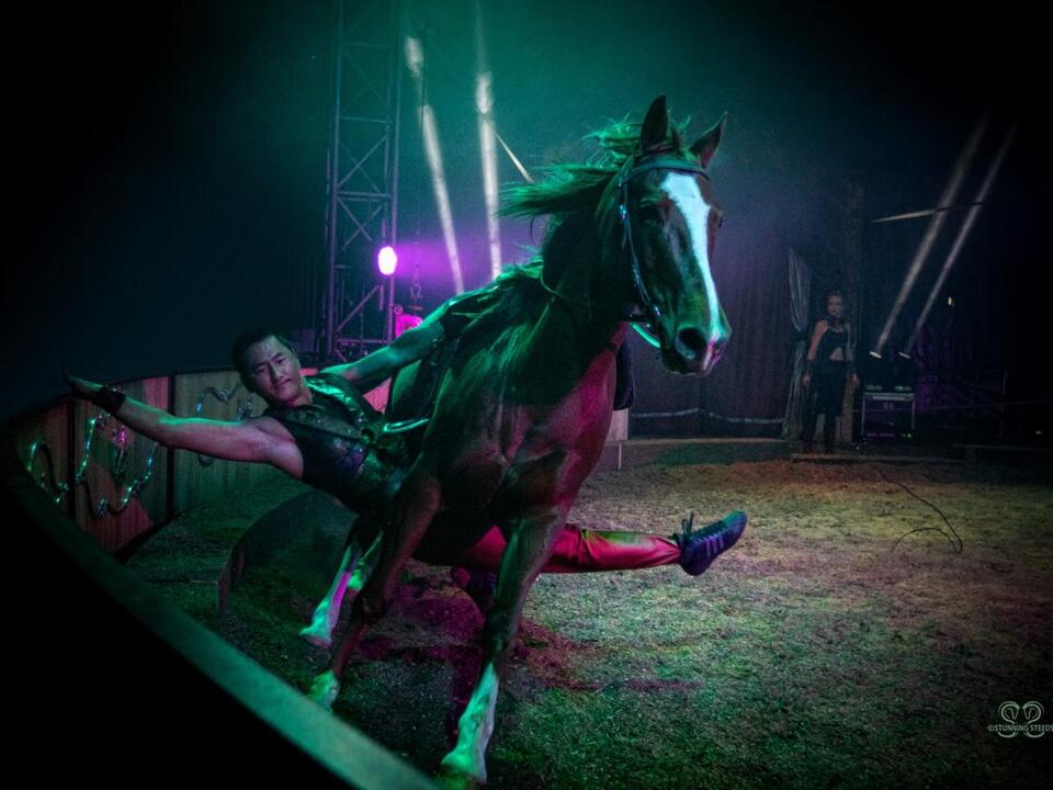 Redefining the art of circus: Experience the magic of Cirque Ma’Ceo in ...