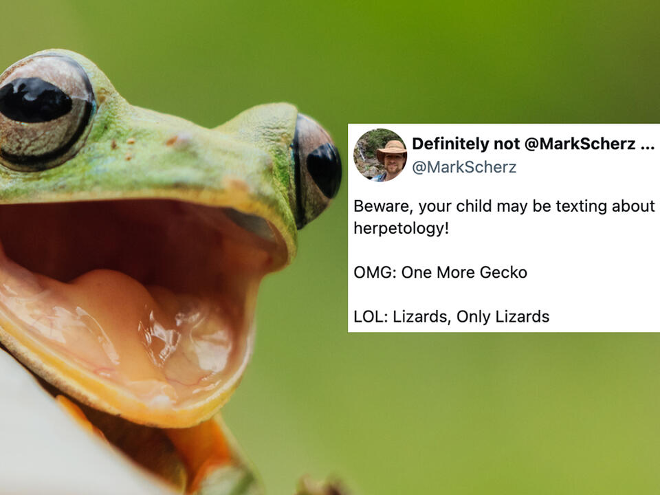 17 Hilariously Wholesome Nature Tweets That Make Me Want To Recycle