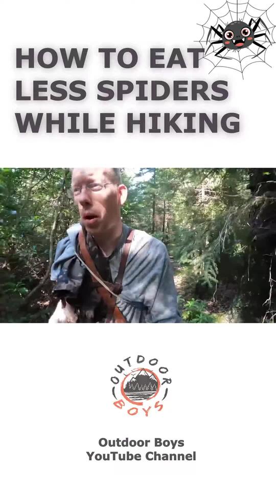 How to Eat Fewer Spiders camping campinghack hikingmp4 - NewsBreak