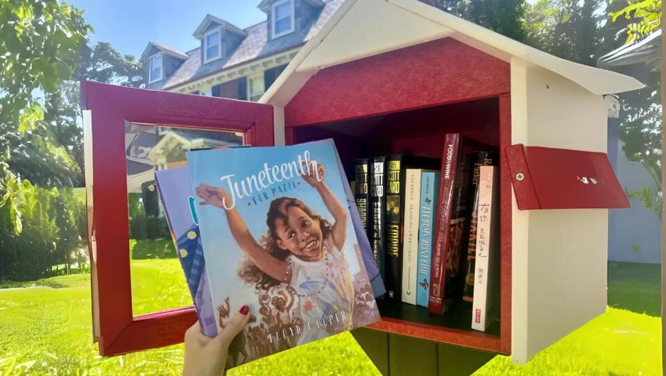 Brookline nonprofit fills Little Free Libraries with diverse stories ...