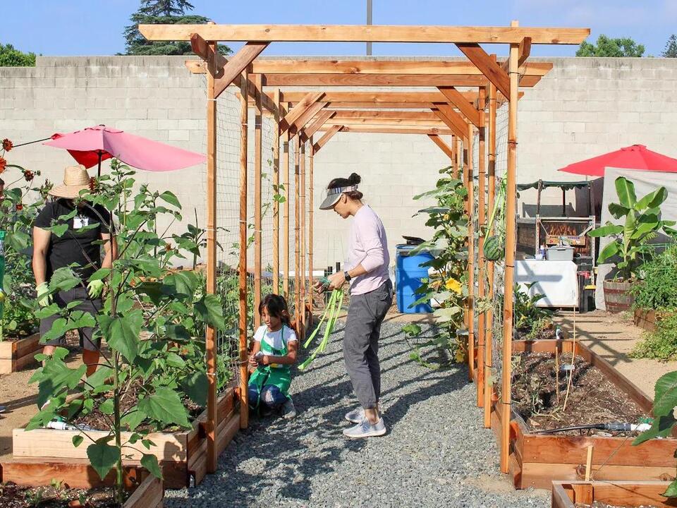 Free Things To Do This Weekend Across OC