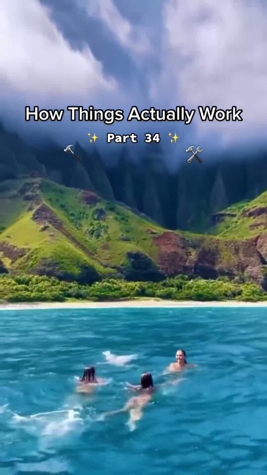 #WhyDoesThisExist How Things Actually Work - NewsBreak