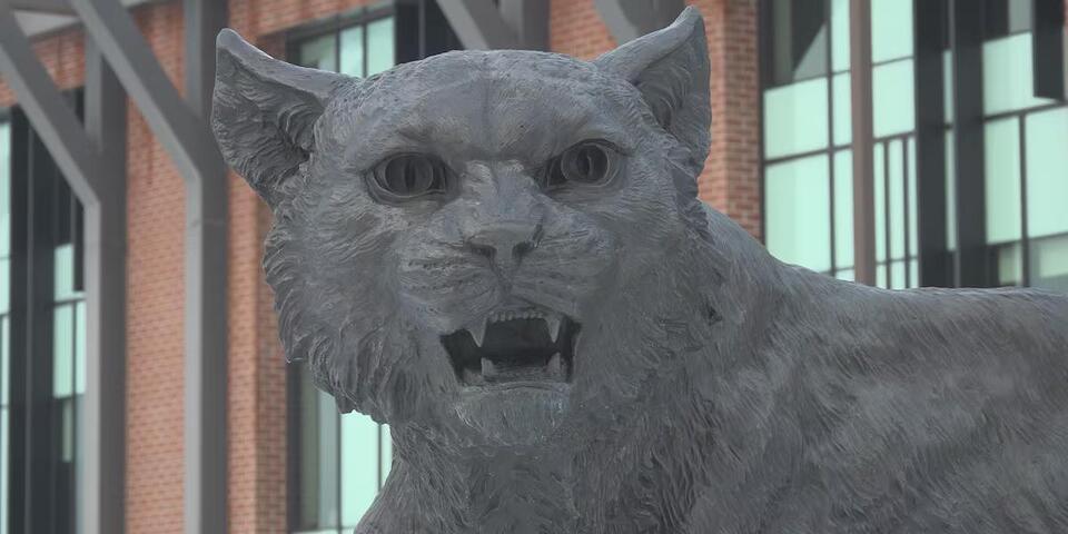 NMU announces new rates for Fall 2026 - NewsBreak