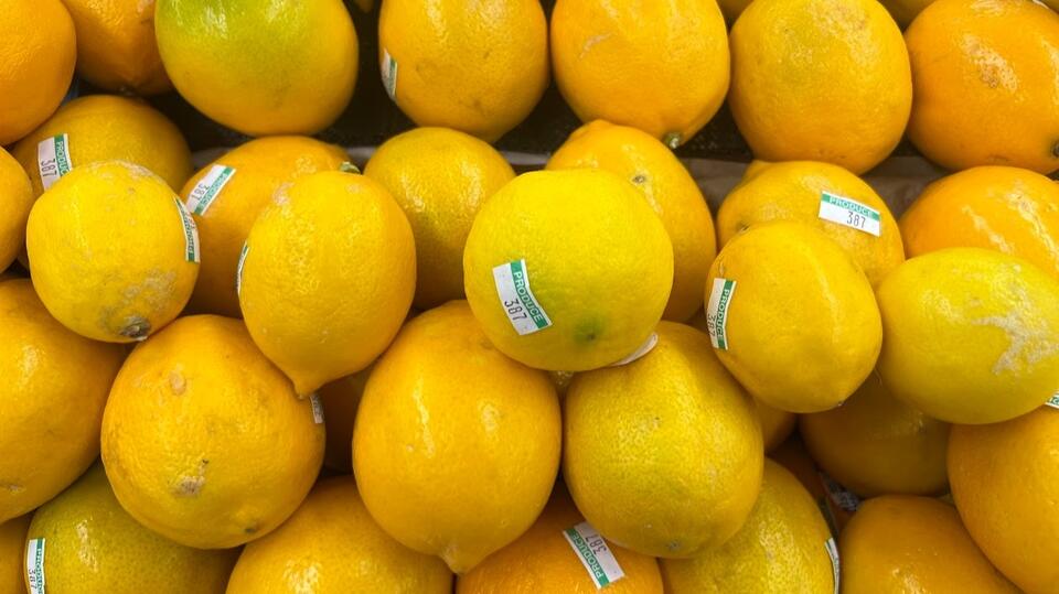 Meyer vs Normal Lemons: What's the Difference? Experts Respond - NewsBreak
