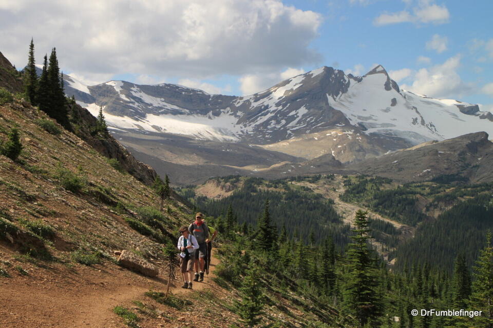 Yoho National Park: Hiking Yoho Valley and Whaleback Circuit - NewsBreak