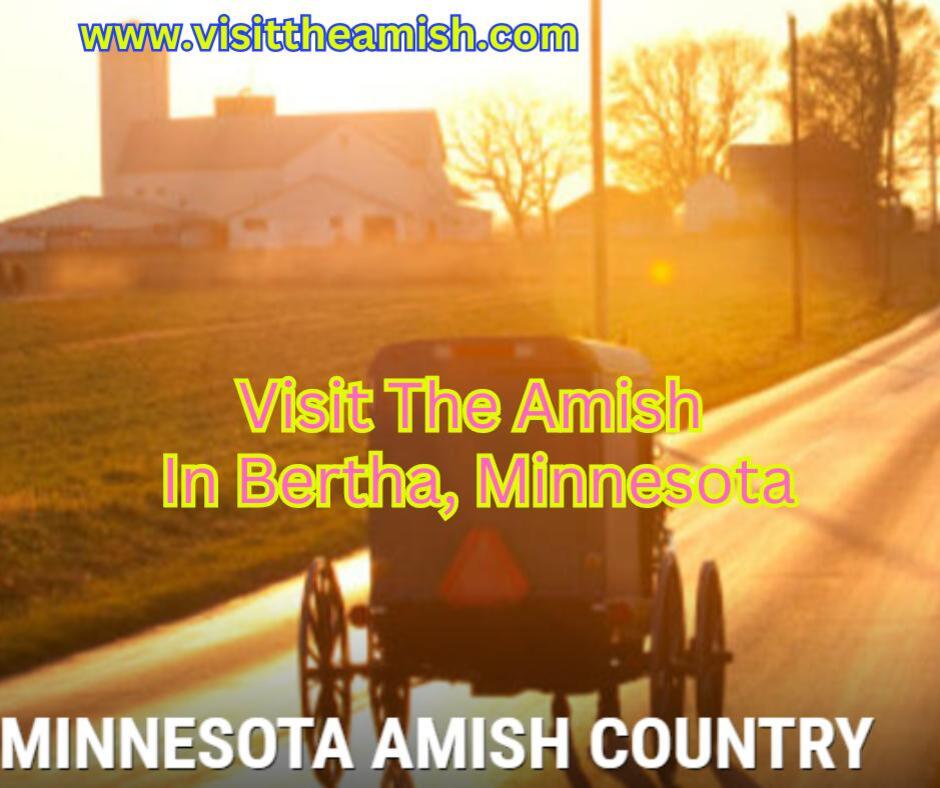 Bertha, Minnesota: The Surprising Amish Oasis You Need to Visit - NewsBreak