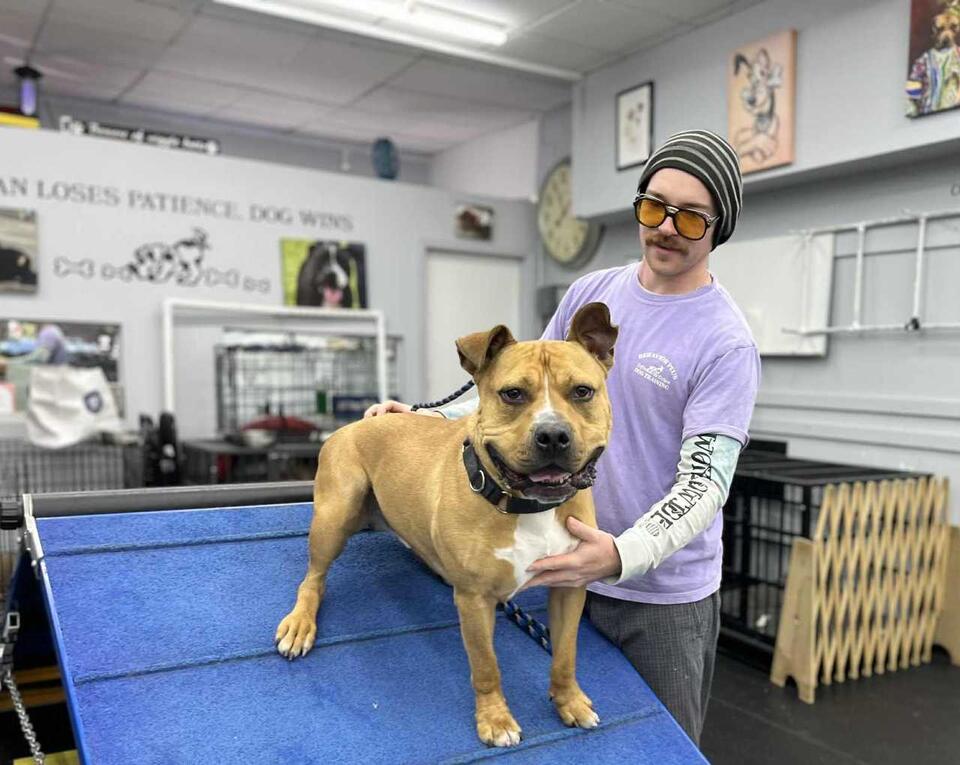 Adopted, Returned, Forgotten: Dog Raised In Bergen Shelter Is More ...