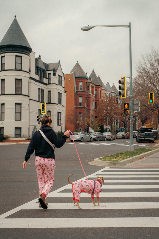 “Keep your uncontrollable dogs on a leash. If you want your dog to run ...