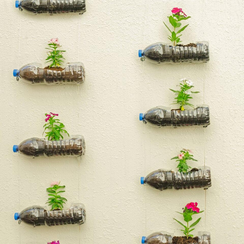 How To Reuse Plastic In Your Garden: 9 Clever Ways To Keep Waste Out Of ...