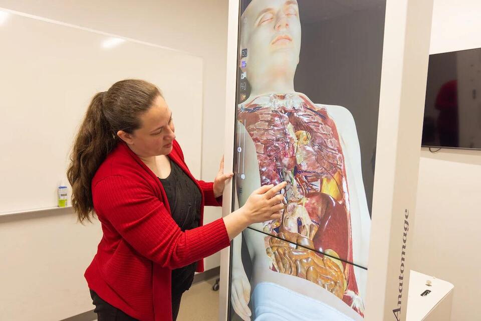 Simulation tool gives students 3D view of human anatomy - NewsBreak