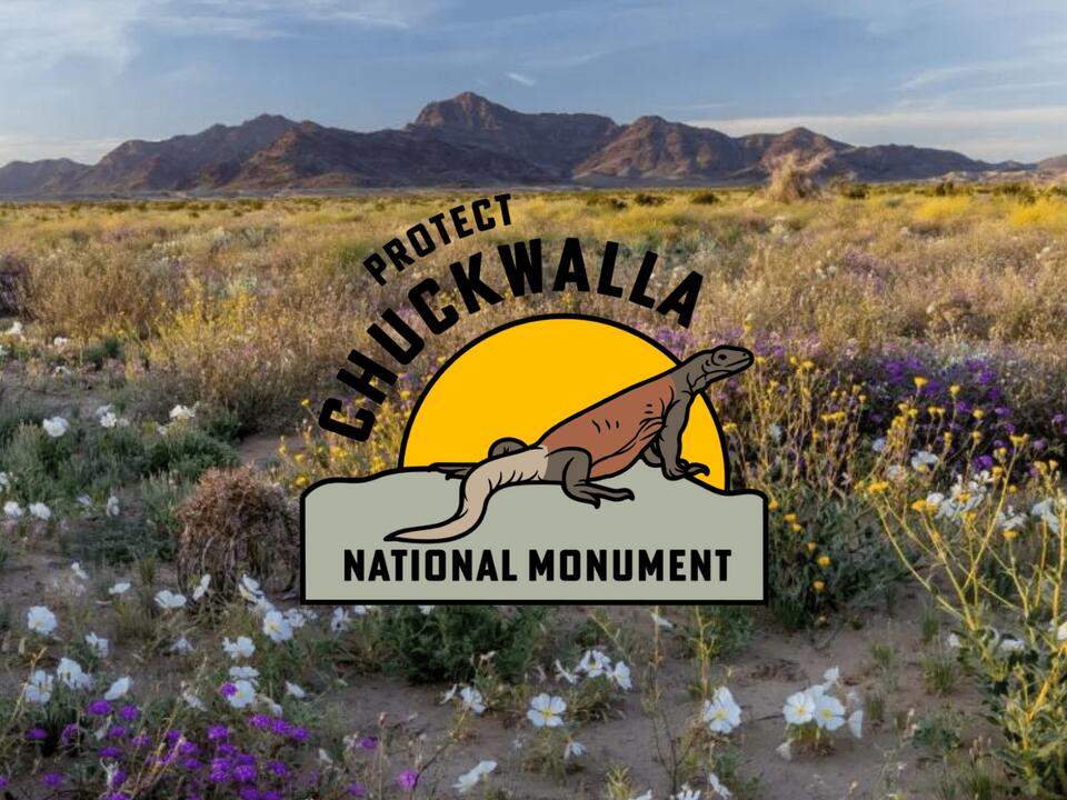 From Monument to Park: Proposed Chuckwalla Monument hopes to follow in ...
