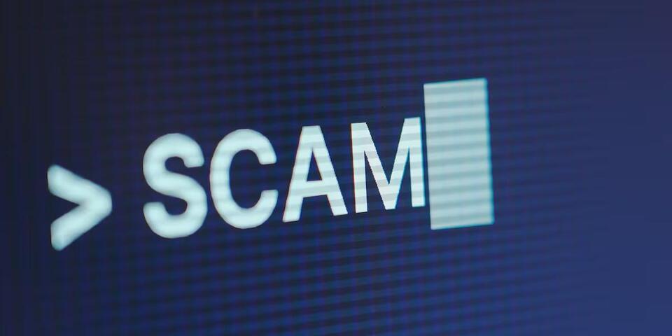 Lincoln woman scammed out of $14,000 thinking she was buying a puppy ...