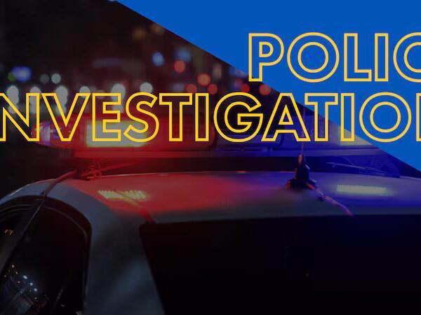 2 Indiana men charged in heat deaths of 9 dogs in an uncooled truck