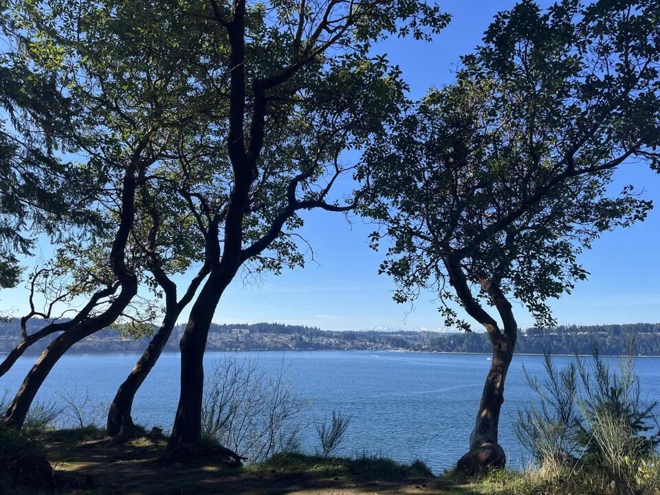 Stabbing at Point Defiance Park sparks discussion of public safety ...