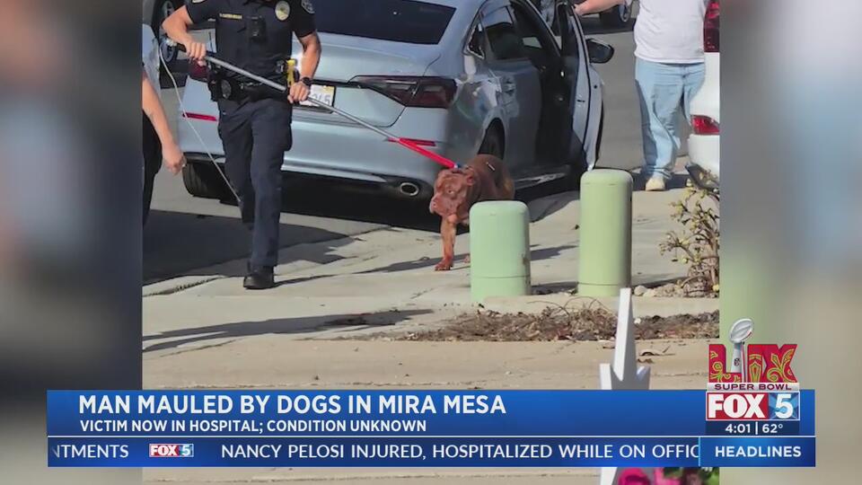 California man dies after being mauled by his own dogs: Police - NewsBreak