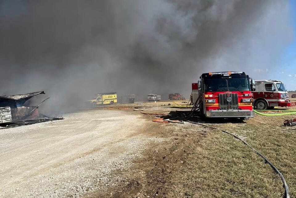 6,000 pigs killed after being trapped in barn during wind-fueled fire ...