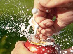 Shaking A Bottle Of Cola Doesn't Increase Its Pressure. So Why Does It ...