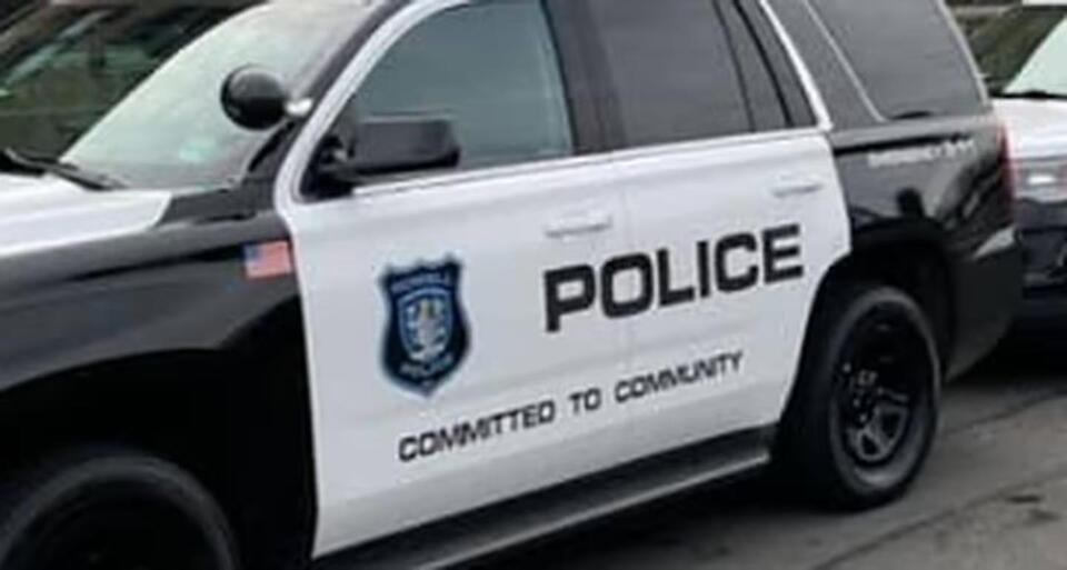 Cab Driver Carjacked, Slashed In Face Near Howell Park: Police - NewsBreak