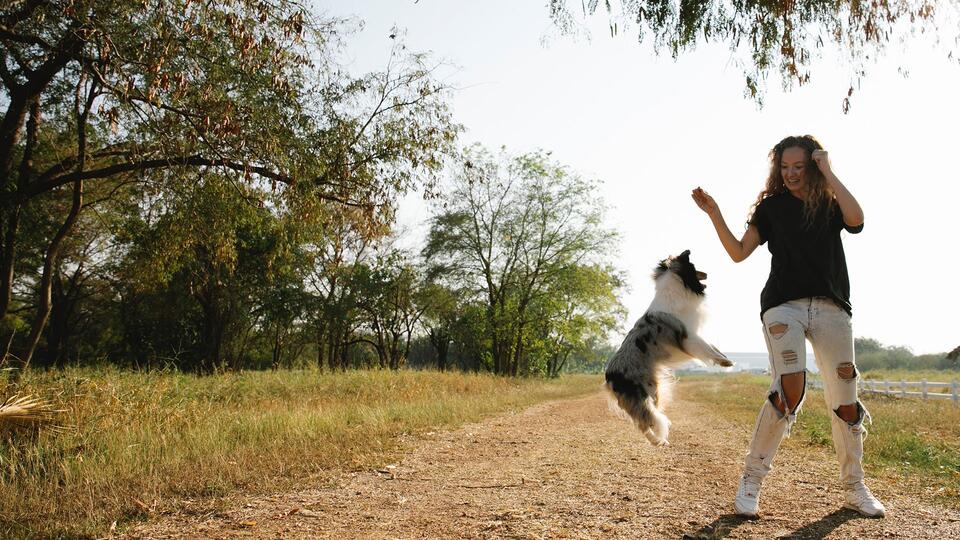 Mega Weekend: Fiery Foods, Jumbo Shrimp, Black Truffles, WAGFest & More ...