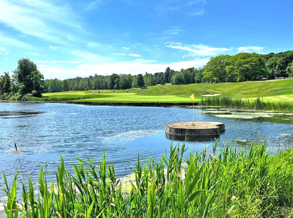 Get Outside! A look at all seven golf courses in Wayne County - NewsBreak