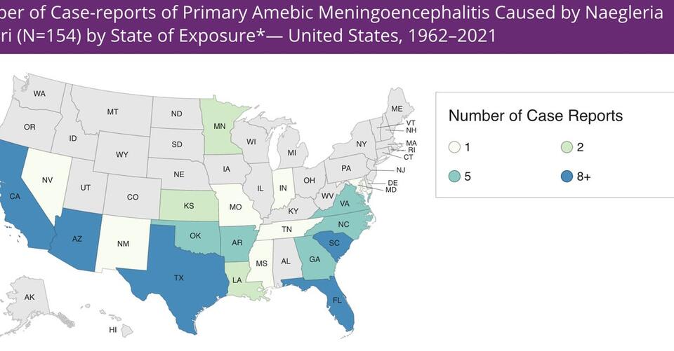 Map shows where brain-eating amoebas are infecting people in lakes ...