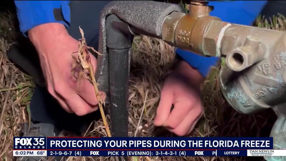Prep tips to protect pipes, plants and pools ahead of Florida freeze ...