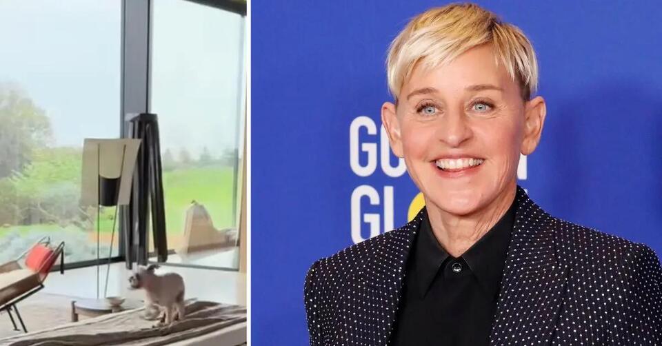 Inside Ellen DeGeneres' Private Life in The U.K. — Canceled Talk Show ...