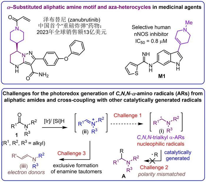 Achieving cross-coupling reactions of fatty amide reduction radicals ...