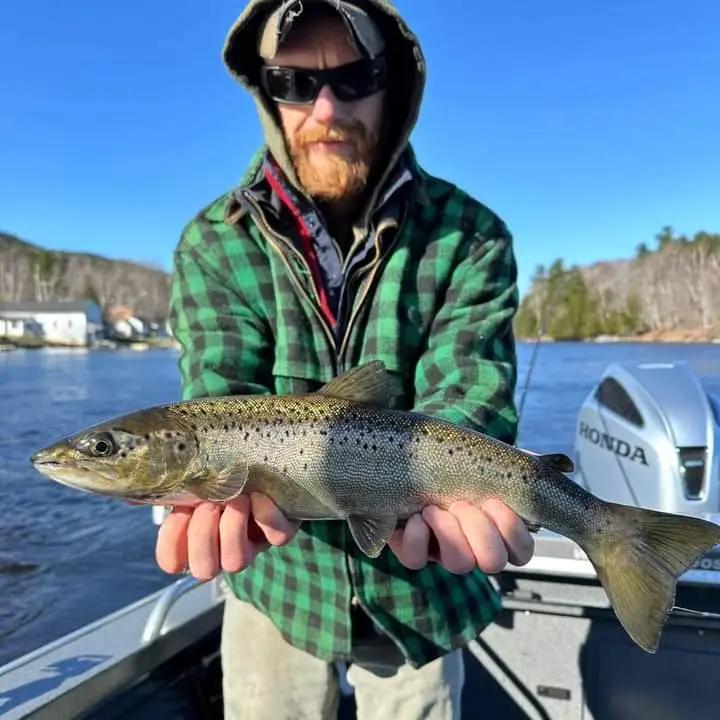 These are ice-out fishing hotspots - NewsBreak