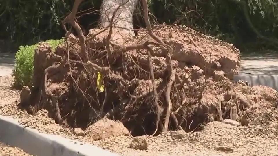 Storm damage in Phoenix after latest monsoon - NewsBreak