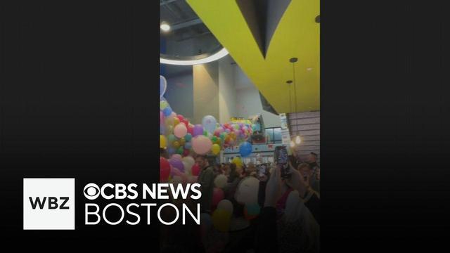 Video shows LEGO display collapse on families after balloon drop mishap ...