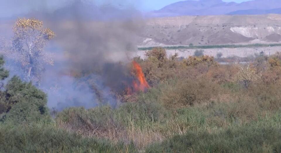 Fire breaks out at Colorado River near Winterhaven - NewsBreak