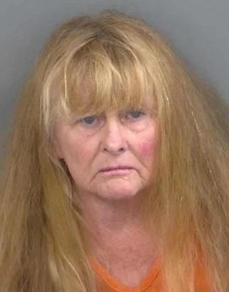 Woman Sentenced to 10 Years for Exploiting Elderly Naples Couple ...