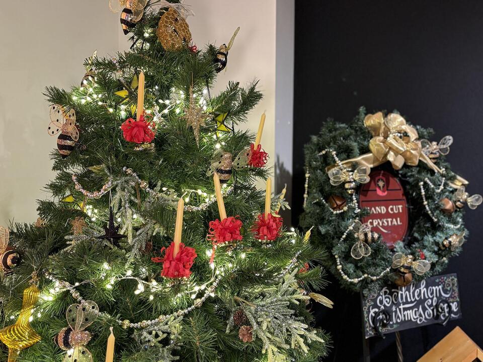Historic Bethlehem Christmas tree tour returns with 20 years of fan ...