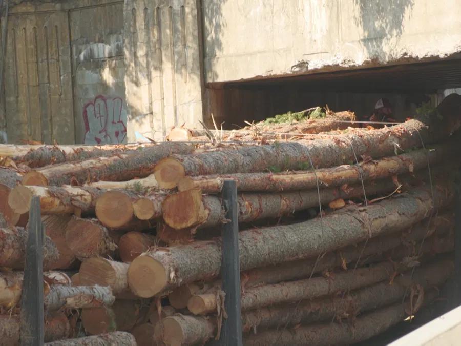 Log truck gets stuck under Northgate Mile underpass