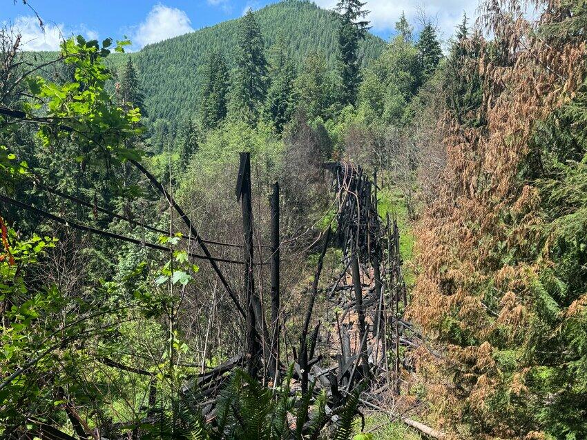 Over $200,000 raised by supporters after Mount Rainier Scenic Railroad ...