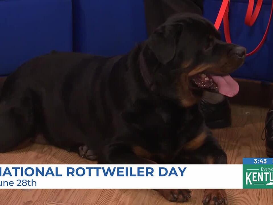 Billy Hall & Sinjin - National Rottweiler Day