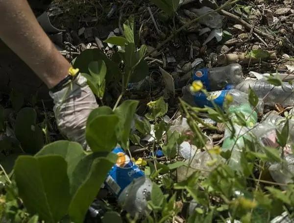 Hillsborough County Announces “Fight The Blight” Cleanup For Clair Mel ...