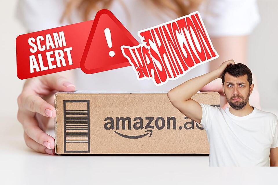 Unexpected Amazon Package Could Be “Brushing Scam” In Washington State ...