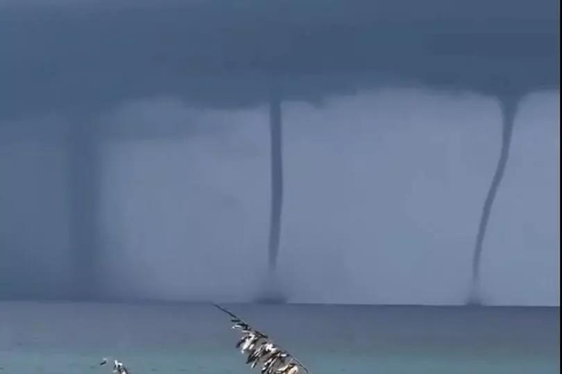 Tampa Bay Times building smashed by crane in horror footage as ...