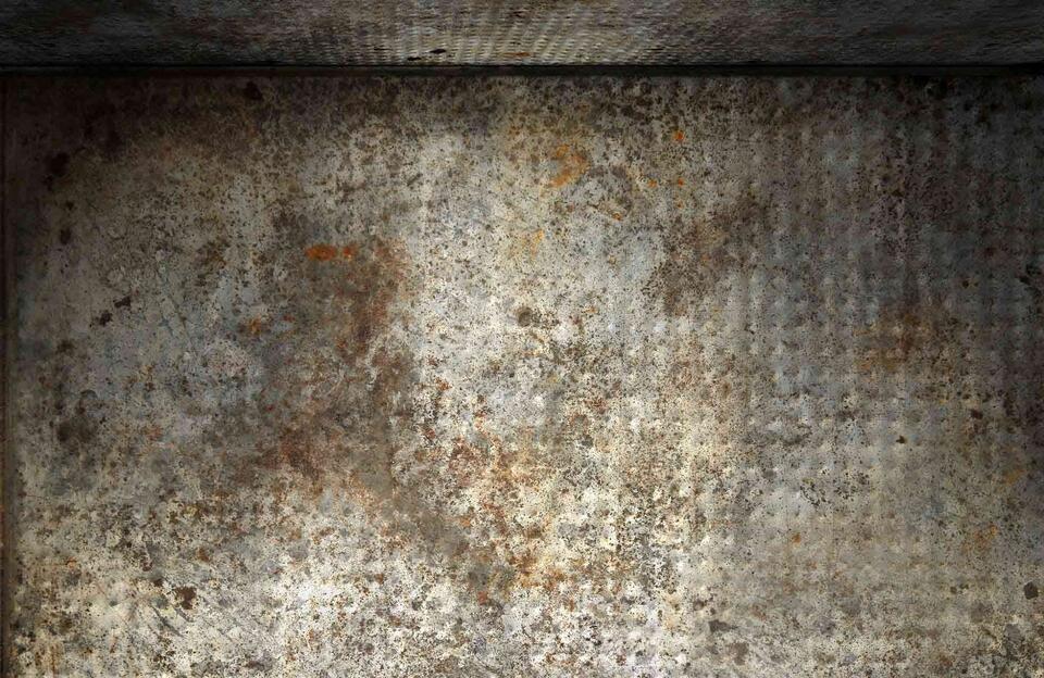 Blissfest 2025: The Local Spins preview of a beloved, life-changing ...