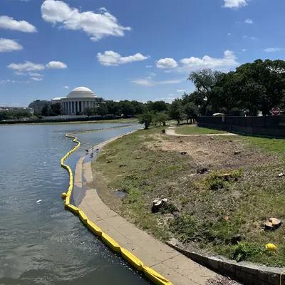 Seawall restoration, cherry tree removal turns Tidal Basin into construction site in D.C ...