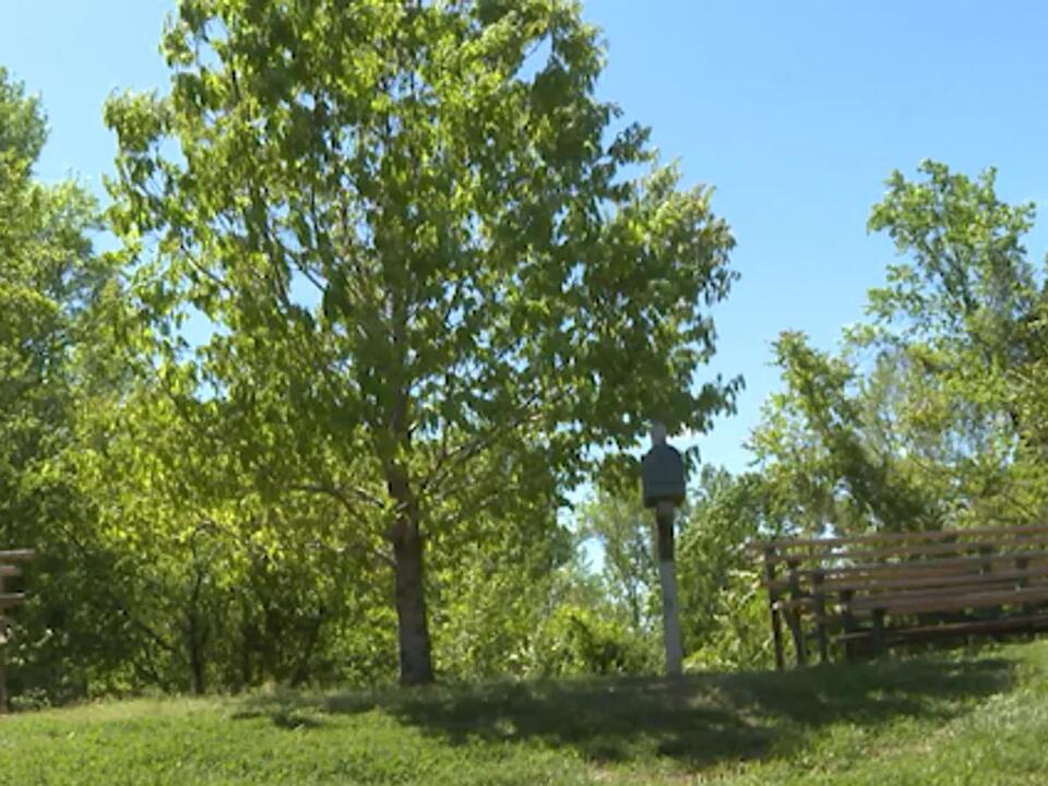 VIR's Oak Tree and Son of Oak remind us of their legacy on Earth Day