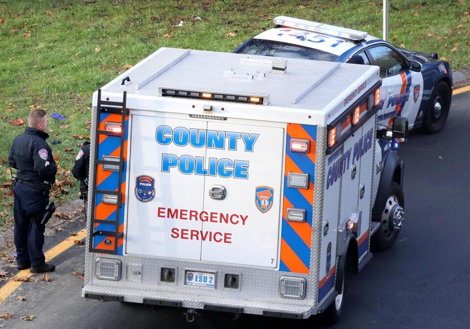 Woman killed by falling tree during Westchester storm identified as ...