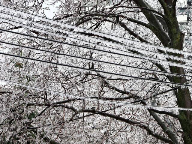 GOHSEP: Prepare now for potential winter weather impacts - NewsBreak