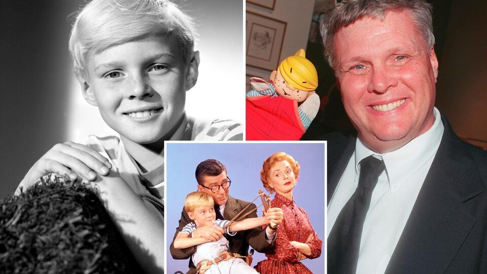 The Tragic Death of Former Child Star Jay North ('Dennis the Menace ...